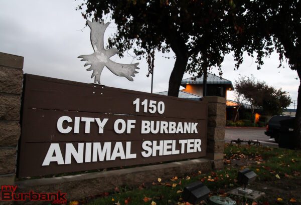 Burbank Animal Shelter Launches Spay, Neuter Rebate Program - myBurbank