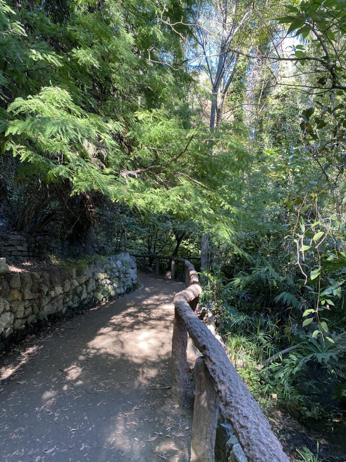 Get Out Of Town!: Fern Dell Nature Trail In Griffith Park - myBurbank