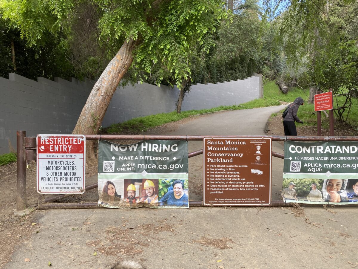 Get Out Of Town!: Fryman Canyon Hike - myBurbank