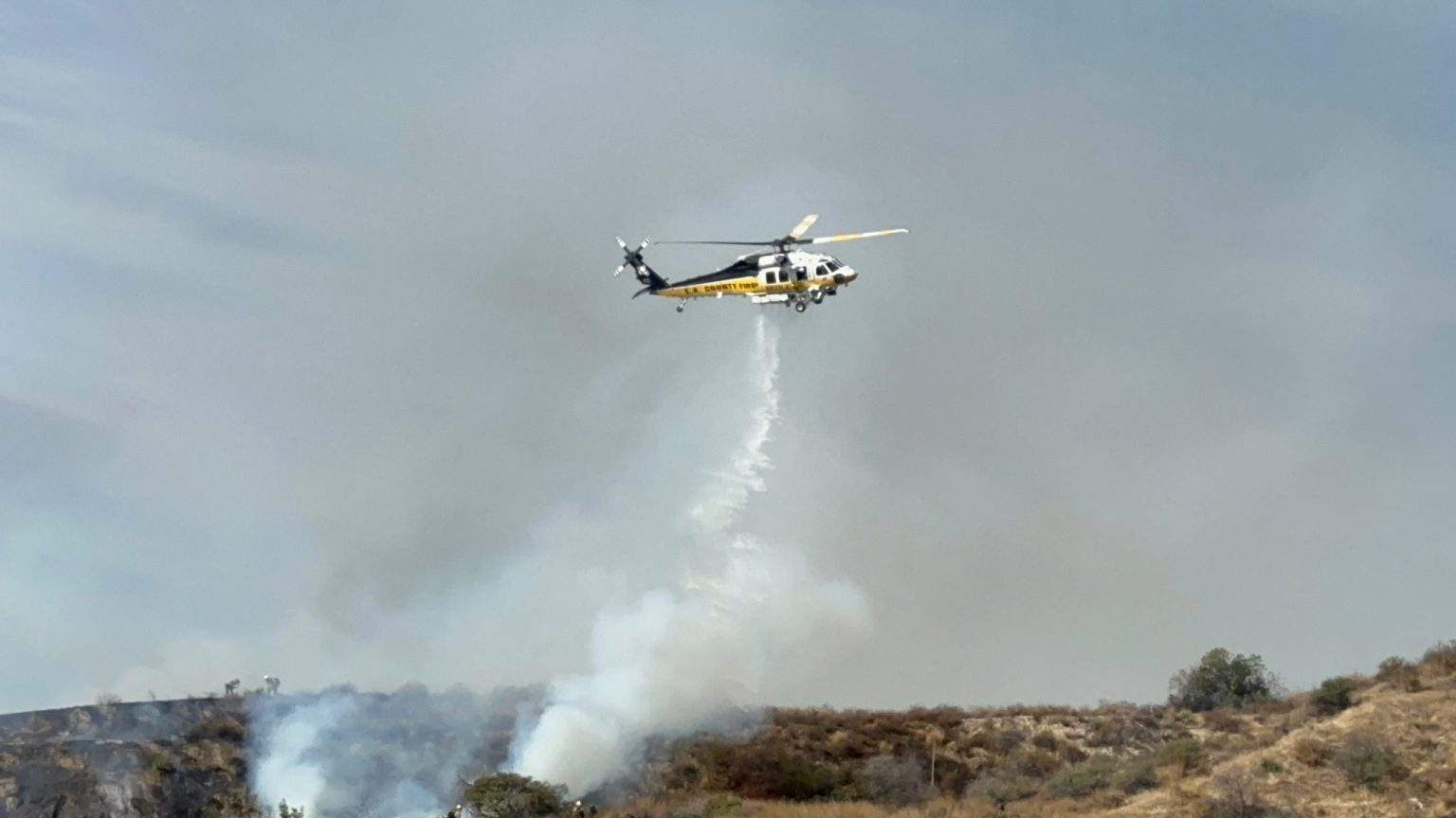 Police Arrest Transient for Aledging Setting Burbank Hillside on Fire ...
